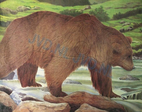 Target Face Bear | The Longbow Shop